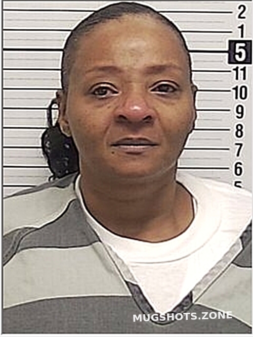 WHITSETT SCHIRITA LAKESHA MARIE 11/28/2023 - Bay County Mugshots Zone