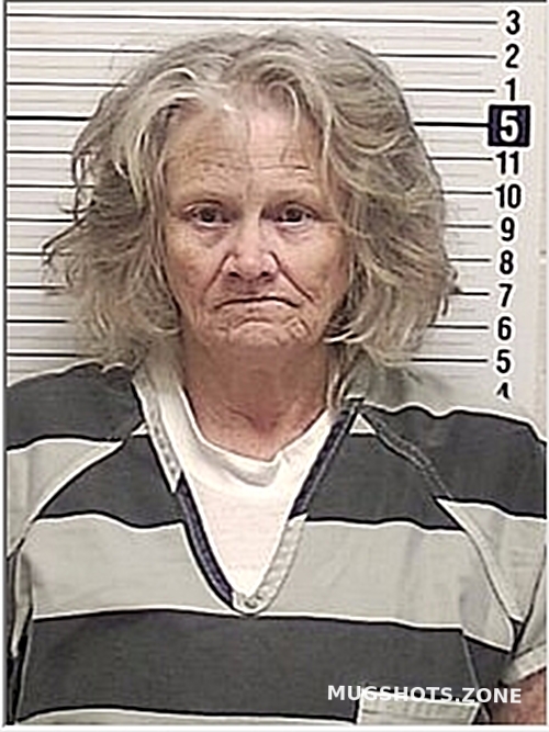 LINDSEY NANCY ETTA 11/29/2023 - Bay County Mugshots Zone