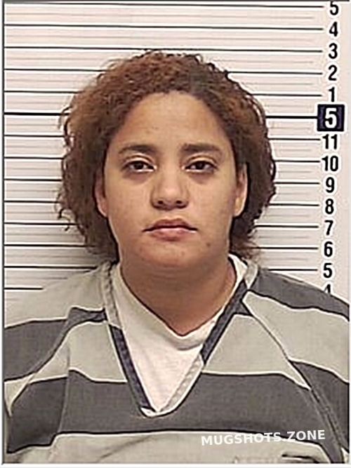 TORRES GUZMAN YAMILKA LIZ 12/01/2023 - Bay County Mugshots Zone