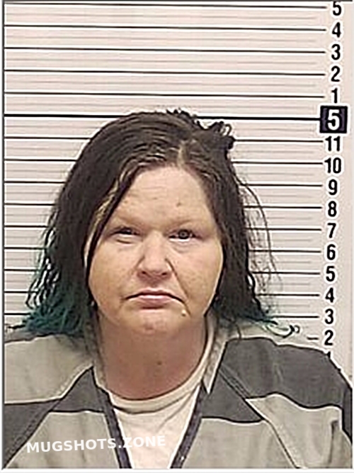 CARR SUSAN ANN SAMPLES 12/01/2023 - Bay County Mugshots Zone