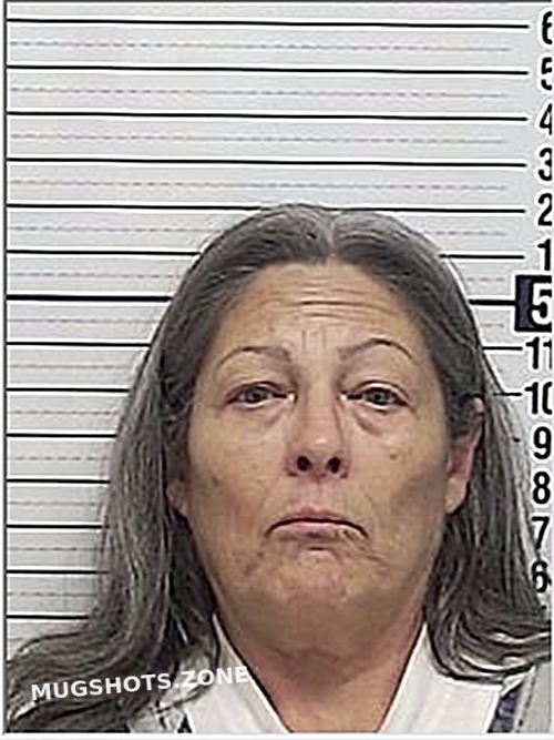 CLEMENTS PAMELA JANIECE 12/04/2023 - Bay County Mugshots Zone