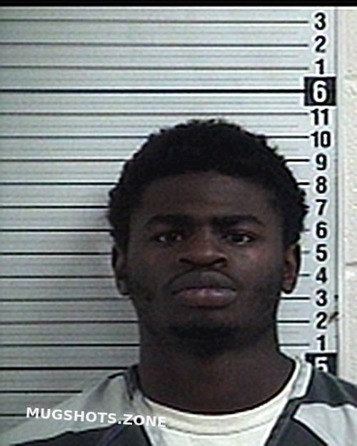 SCARVER DEVONTAE JAQUEEM 12/04/2023 - Bay County Mugshots Zone