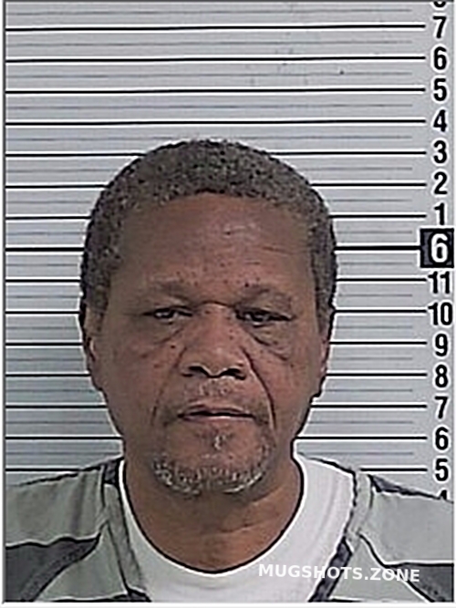 DUNKLIN RAY CHARLES 12/06/2023 - Bay County Mugshots Zone