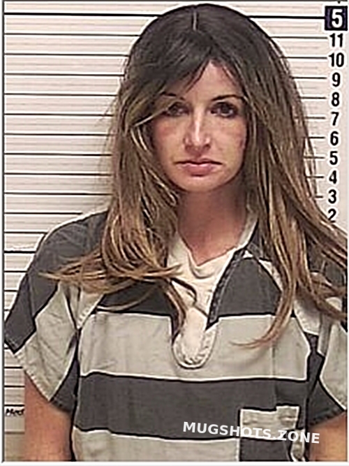 Briscoe Erica Lee 12212023 Bay County Mugshots Zone