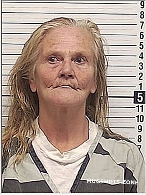 WARREN SHEILA GAILE 12/22/2023 - Bay County Mugshots Zone