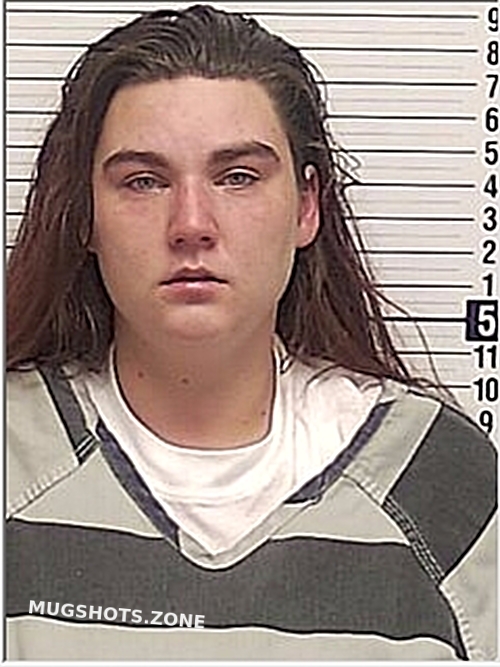 HAMMETT DESTINY LEE 12/24/2023 - Bay County Mugshots Zone
