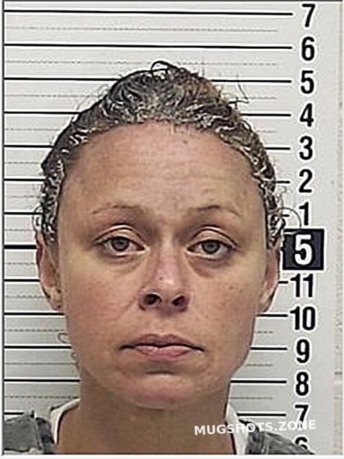 WILLIAMS ELLISA MAE 12/27/2023 - Bay County Mugshots Zone