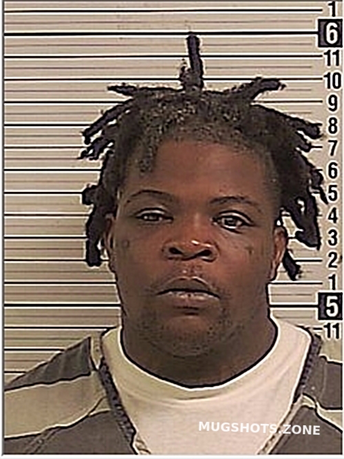 WILLIAMS QUALIN JUSTIN 12/30/2023 - Bay County Mugshots Zone