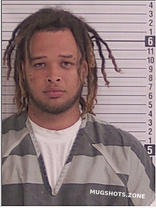 SHELL TYLER DANIEL 12/31/2023 - Bay County Mugshots Zone