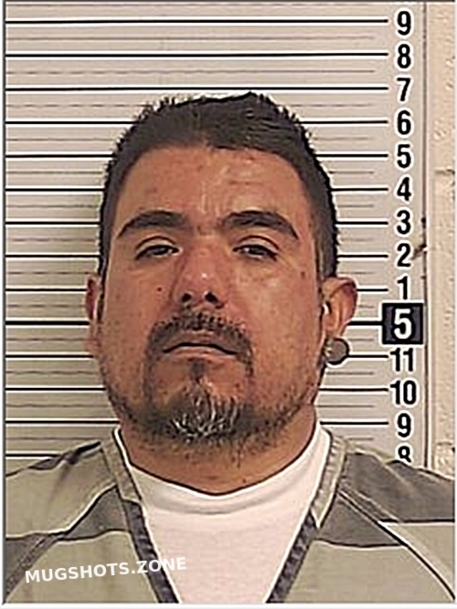 GARCIA-SANCHEZ EDGAR ADRIAN 01/10/2024 - Bay County Mugshots Zone