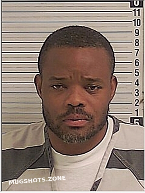 JOHNSON ADRID DEVON III 01/11/2024 - Bay County Mugshots Zone