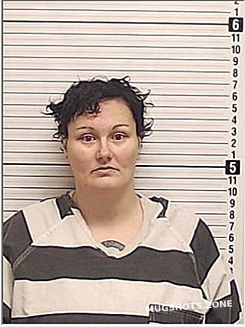 SWEEPER APRIL LYNN 01/12/2024 - Bay County Mugshots Zone