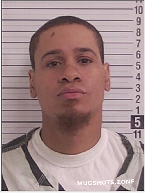 LEE KENNETH 01/15/2024 - Bay County Mugshots Zone