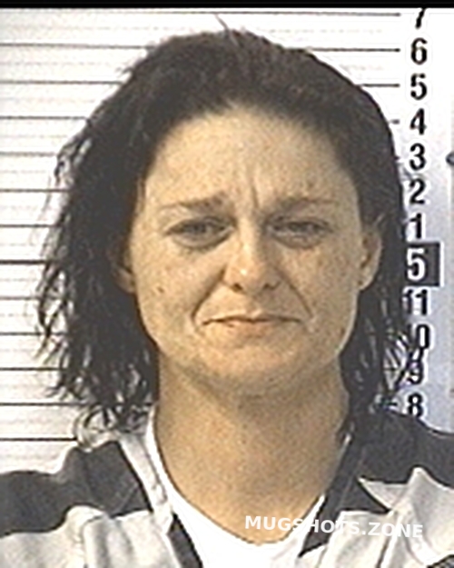 YOUNG SHELLY LYNN 01/18/2024 - Bay County Mugshots Zone