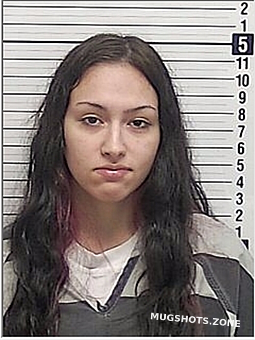 CASTORENA JOIYANNA ADANA 01/22/2024 - Bay County Mugshots Zone