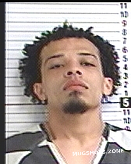 JEMISON DARIUS E 01/23/2024 - Bay County Mugshots Zone