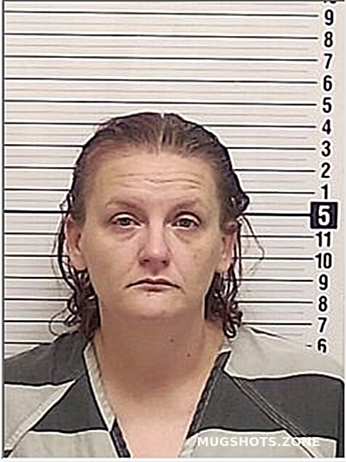 CRABILL VERONICA K 01/27/2024 - Bay County Mugshots Zone