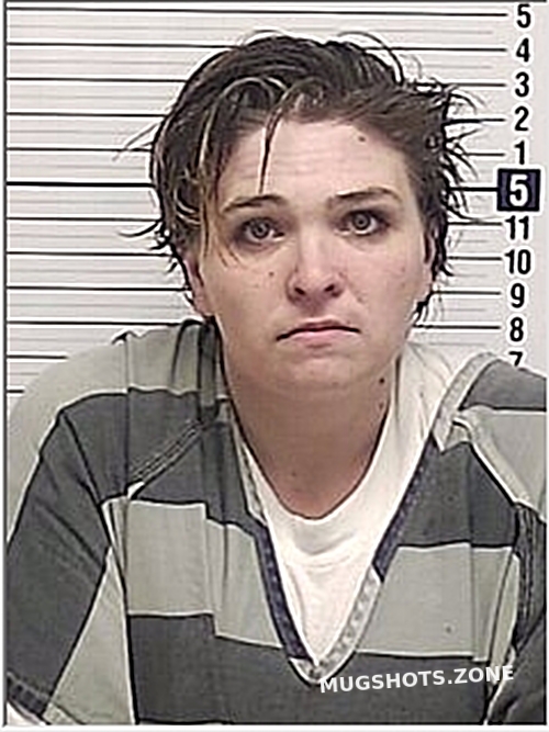 SMITHSON ARIEL DANIELLE 02/02/2024 - Bay County Mugshots Zone