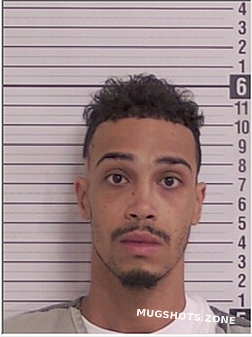 LYONS STEVEN ANDREW 02/06/2024 - Bay County Mugshots Zone