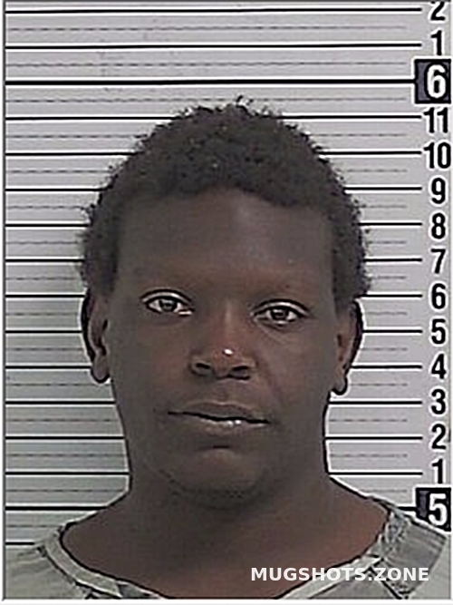 BUSH DPAUL TORANCE 02/13/2024 - Bay County Mugshots Zone