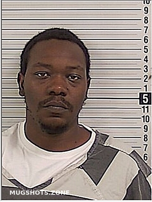 ARMSTEAD THEMARRIO CARLOS 02/13/2024 - Bay County Mugshots Zone