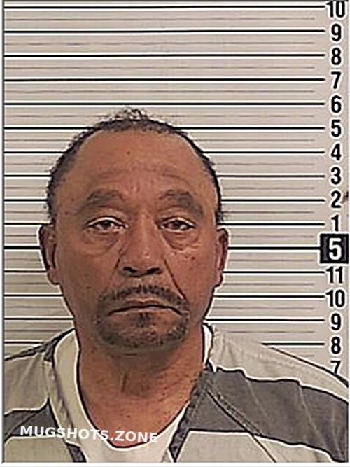 NICKOLAS JIMMY LEE JR 02/15/2024 - Bay County Mugshots Zone