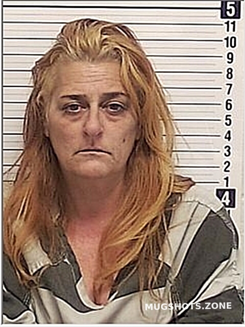 LEE JENNIFER SIMOES 02/15/2024 - Bay County Mugshots Zone