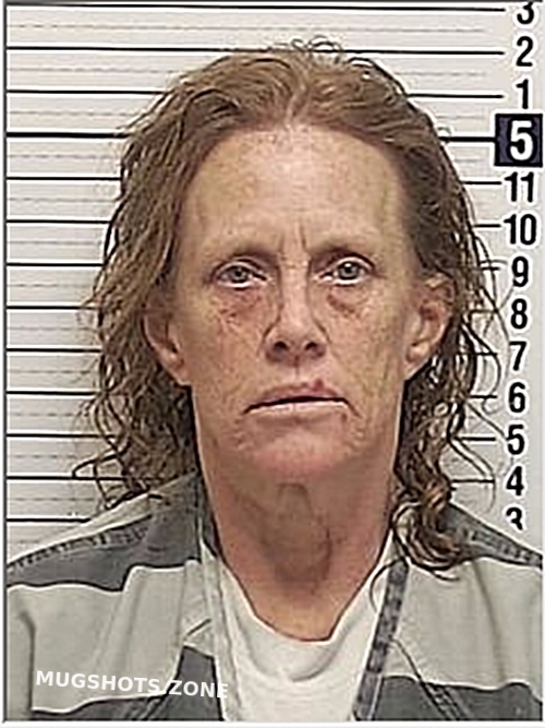 DAVIS SHARON MARIE 02/17/2024 - Bay County Mugshots Zone
