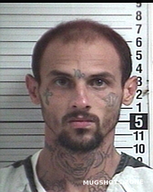 BABCOCK STEVEN DALLAS 02/20/2024 - Bay County Mugshots Zone