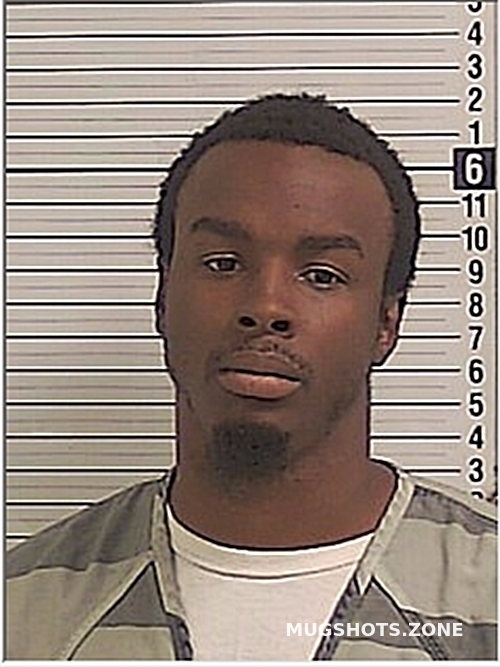 ALLEN ANTONIO TIMOTHY 02/20/2024 - Bay County Mugshots Zone