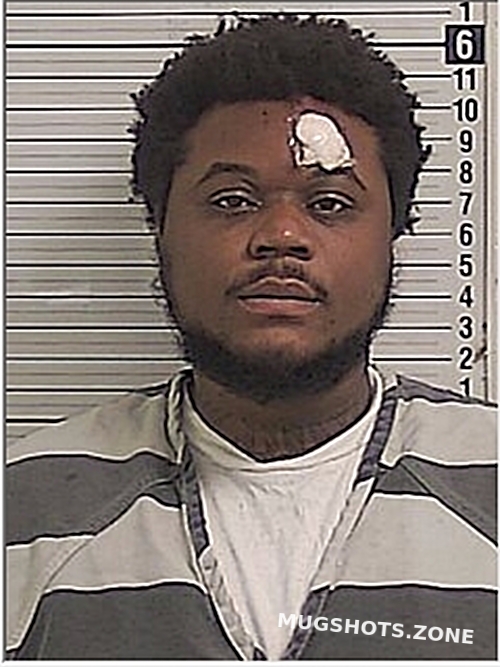 JONES TYREE D 02/24/2024 - Bay County Mugshots Zone