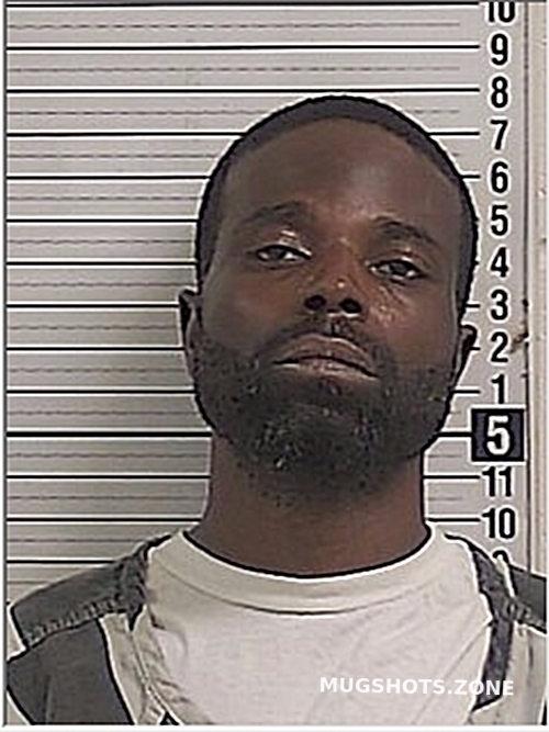 DAVIS DEMAR 02/26/2024 - Bay County Mugshots Zone