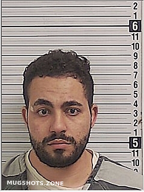 TADRES BOLA EMAD NAKHLA 02/26/2024 - Bay County Mugshots Zone
