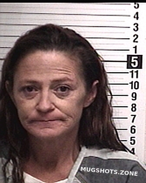 Coyle Heather Rene 02262024 Bay County Mugshots Zone