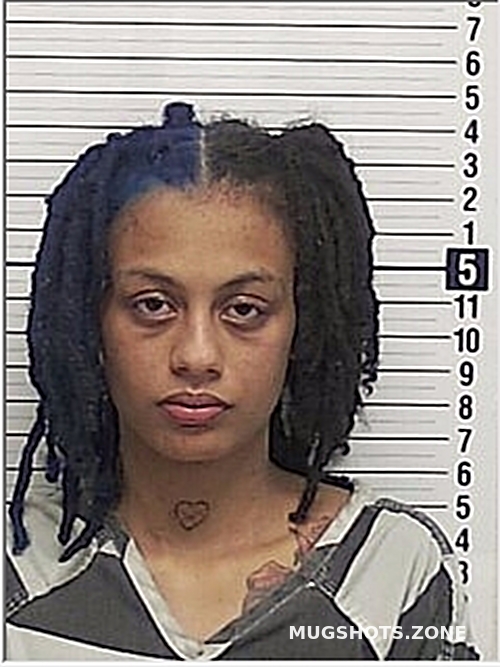 SAPP KIJARA SHANERIA AALIYAH 02/27/2024 - Bay County Mugshots Zone