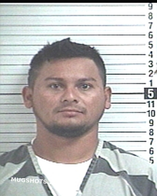 FLORES-RAMIREZ DANIEL 03/03/2024 - Bay County Mugshots Zone
