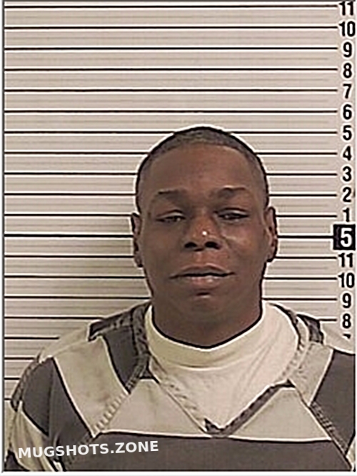 LEWIS ANTHONY LEE 03/04/2024 - Bay County Mugshots Zone