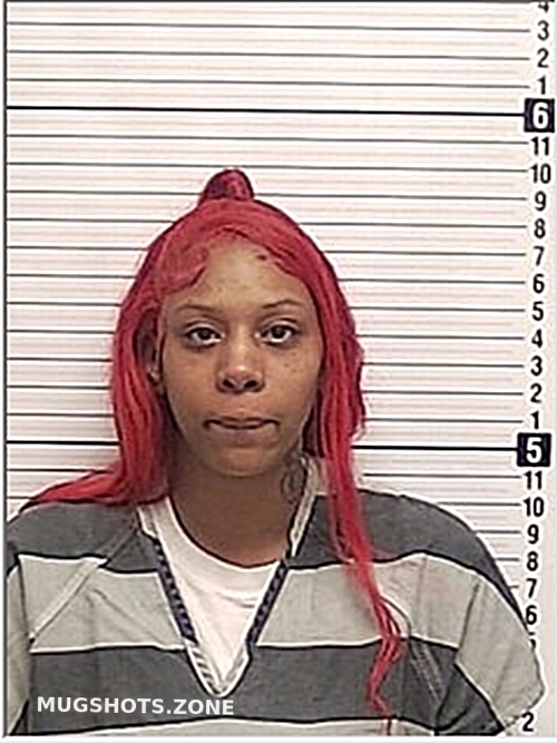 REED ASIA M 03/05/2024 - Bay County Mugshots Zone