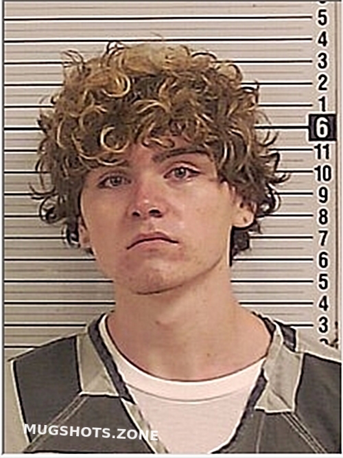 BERGENSTOCK-BOND CONNOR JAMES 03/09/2024 - Bay County Mugshots Zone