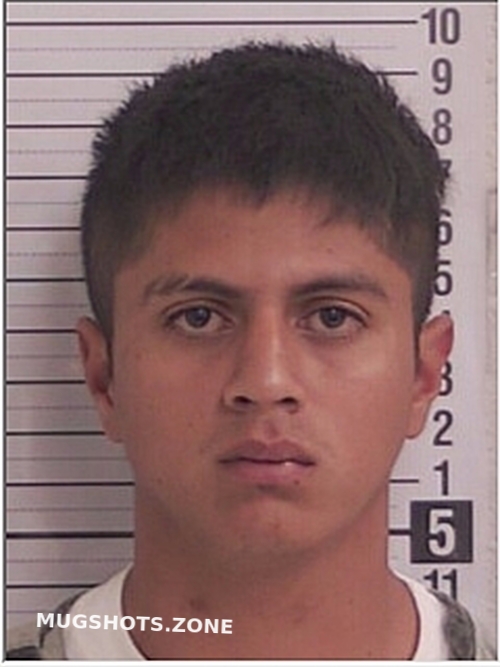 RESENDIZ-GONZALEZ JAN 03/11/2024 - Bay County Mugshots Zone