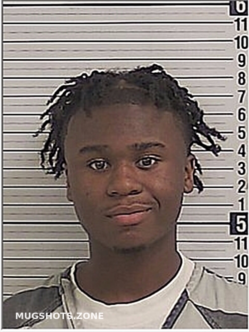 GILBERT SYAIRE ISAIAH 03/16/2024 - Bay County Mugshots Zone