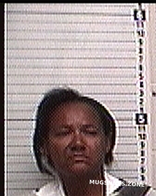 JOHNSON FREIDA DENISE 03/19/2024 - Bay County Mugshots Zone