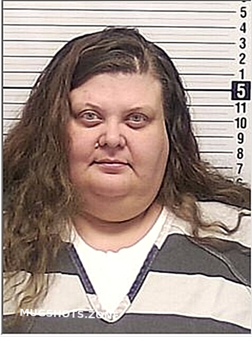 HOUSTON CRYSTAL DAWN 03/20/2024 - Bay County Mugshots Zone