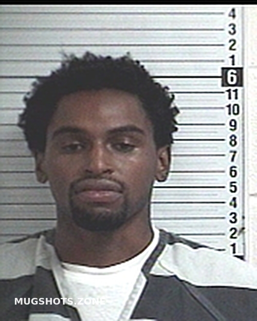 TRAVIS LIROY DAVON JR 03/21/2024 - Bay County Mugshots Zone