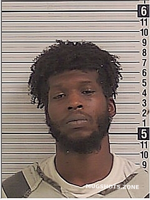WILLIAMS DERRICK LLOYD JR 03/23/2024 - Bay County Mugshots Zone