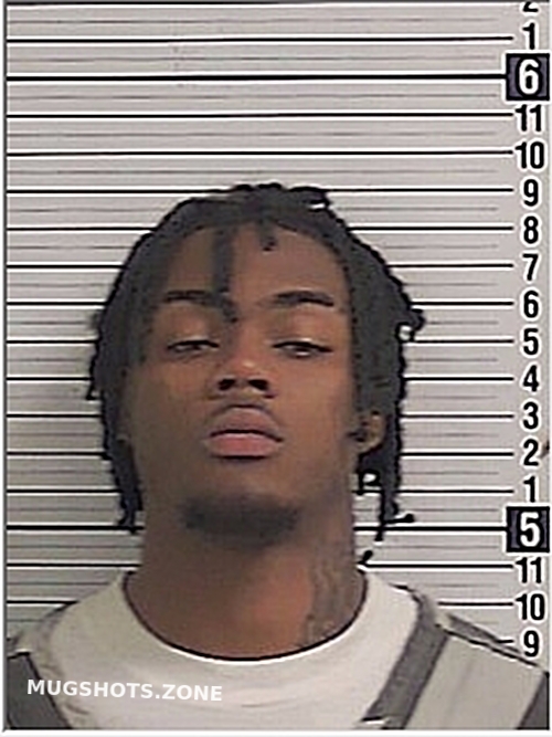 COLLINS ZYQUARIUS SHURMON 03/23/2024 - Bay County Mugshots Zone