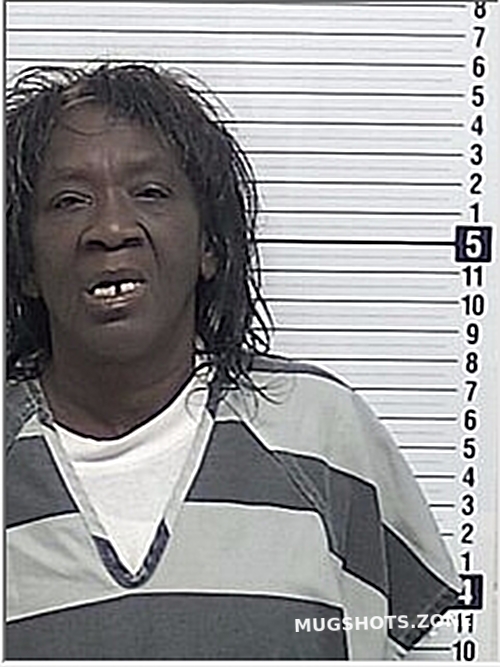 ROGERS DEBORAH ANN 03/23/2024 - Bay County Mugshots Zone