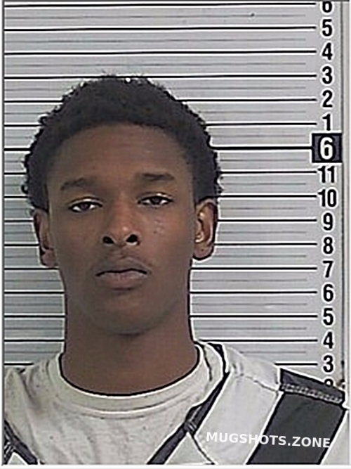 STAPLES CAMERON ALEXIS 03/25/2024 - Bay County Mugshots Zone