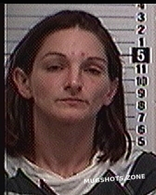 BULLE HEATHER RAE 03/26/2024 - Bay County Mugshots Zone