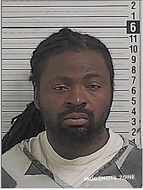 HOOKS CAMERON LAQUATOS 03/29/2024 - Bay County Mugshots Zone